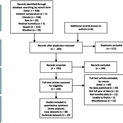 Flow chart of search strategy.