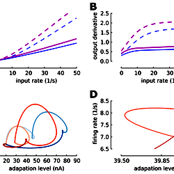 Response properties of the rate model.