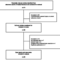 Flow chart of selection process.