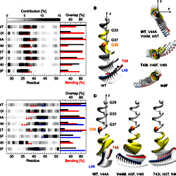 Functional mode analysis.