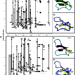 Structures of MCh-1 and MCh-2.