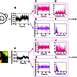 Examples of false signals recognition.