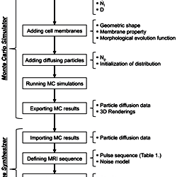 The general overview of DMS simulation procedure and module parameters.