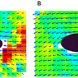 Velocity vectors surrounding a single cell swimming at the WAI.