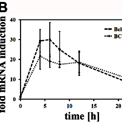 Comparison of plasmid DNA, mRNA and protein content of BCL‑6/BCoR ...