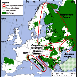 Map of European wolf distribution showing wolf samples (n = 177) and ...