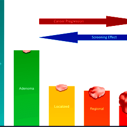 Model of a successful screening program.