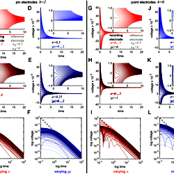 The simulated voltage difference between a reference and the recording ...