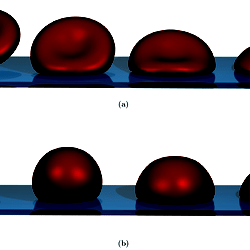 Simulated cell spreading of the red blood cell at three different time-points.