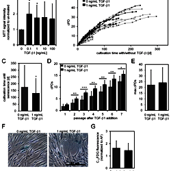Influence of TGF-β1 on short- and long-term expansion and senescence.