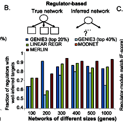 Comparison of MERLIN against per-gene and per-module network inference ...