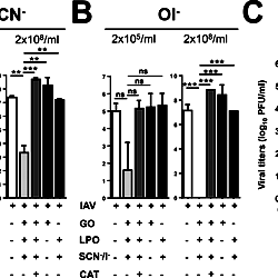 The cell-free H2O2/LPO/(SCN-/I-) system inactivates A/Swine/Illinois ...