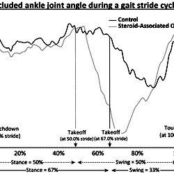 High-speed video gait analysis for the included ankle joint angle ...