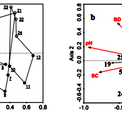 RDA two-dimensional ordination diagram of the first two axes showing ...