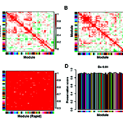 Preservation matrix reveals subtle metabolic differences in slow vs.