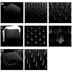 SEM photographs of parts from 10×10 MN arrays.