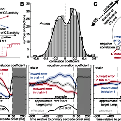 Correlation of visual error in trial n − 1 and CS activity in trial n.