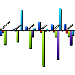Analysis of solvent accessible surface area.