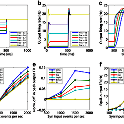 Input-output characteristics.