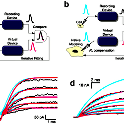 Illustration for principle of native modeling.
