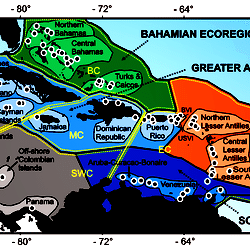 The Caribbean basin with ecoregions, subregions and sites used for the ...