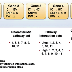 Pathway set creation example.