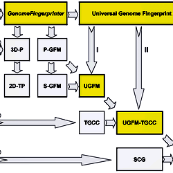 The conceptual framework of the universal genome fingerprint analysis ...