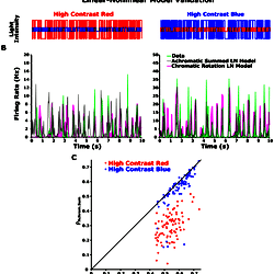 Performance of 2D-fit Linear-nonlinear model.