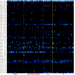 Heatmap showing similarities in the relative abundances of the top 50 ...