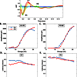 Examples of eCAP acquisition and quantification.