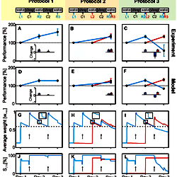 Learning new memory can induce disruption of previously learnt memory ...