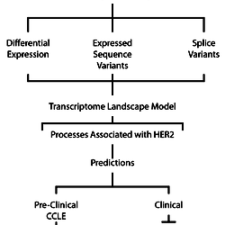Schematic of analytical approach.