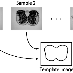 A schematic drawing of the standardization process.
