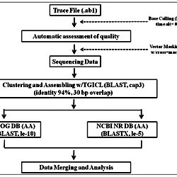Schematic diagram for EST data analysis.