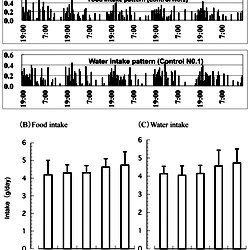 Food and water intake of mice in the first period under ad libitum.