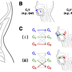 The classification of serial order in articulations in the previous and ...