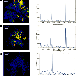 Raman mapping of sample 3.