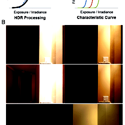 HDR processing in photography.