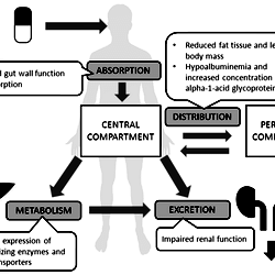 ADME processes in cachexia.