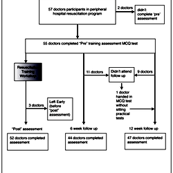 Flowchart showing the number of participants recruited to the study ...