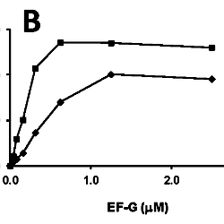 GTPase activity of P. aeruginosa EF-G1A and EF-G1B.