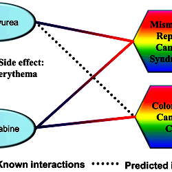 The most confident prediction achieved by PreDR.