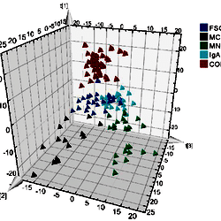 OPLS-DA scores plot of urine 1H NMR spectra of healthy controls and ...