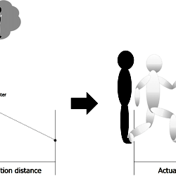 Schematic illustration of the two-step test.