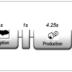 Summary of task protocol.
