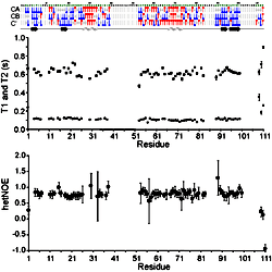 Structural and dynamic characterization of Fdx.