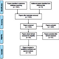 Flow chart using the PRISMA statement for the systematic review.