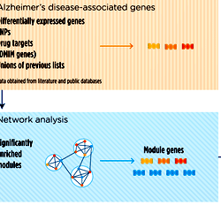 Schematic representation of the network analysis workflow.