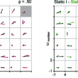 Vector correlations assessing stability of interference effects over time.