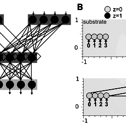 A. Principle of the map-based, developmental encoding.